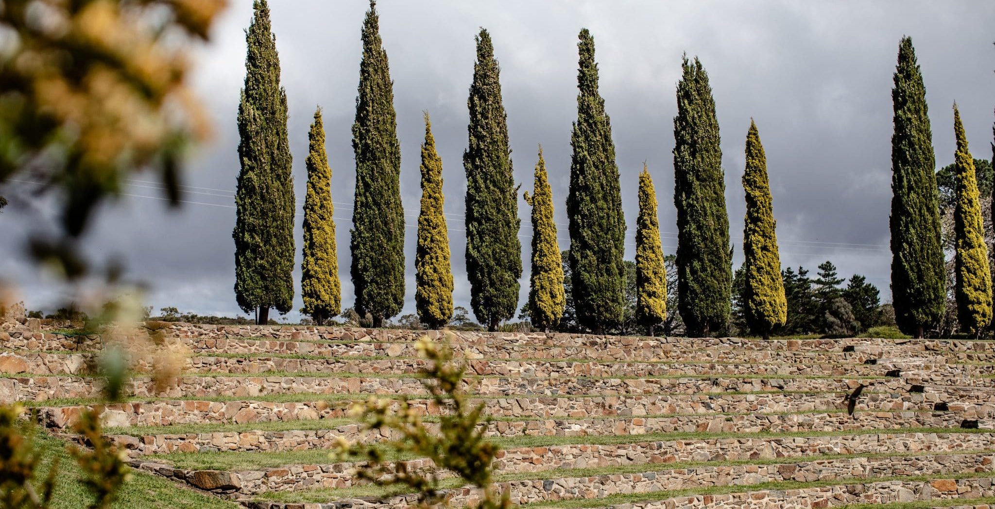 Getting Here - Piermont