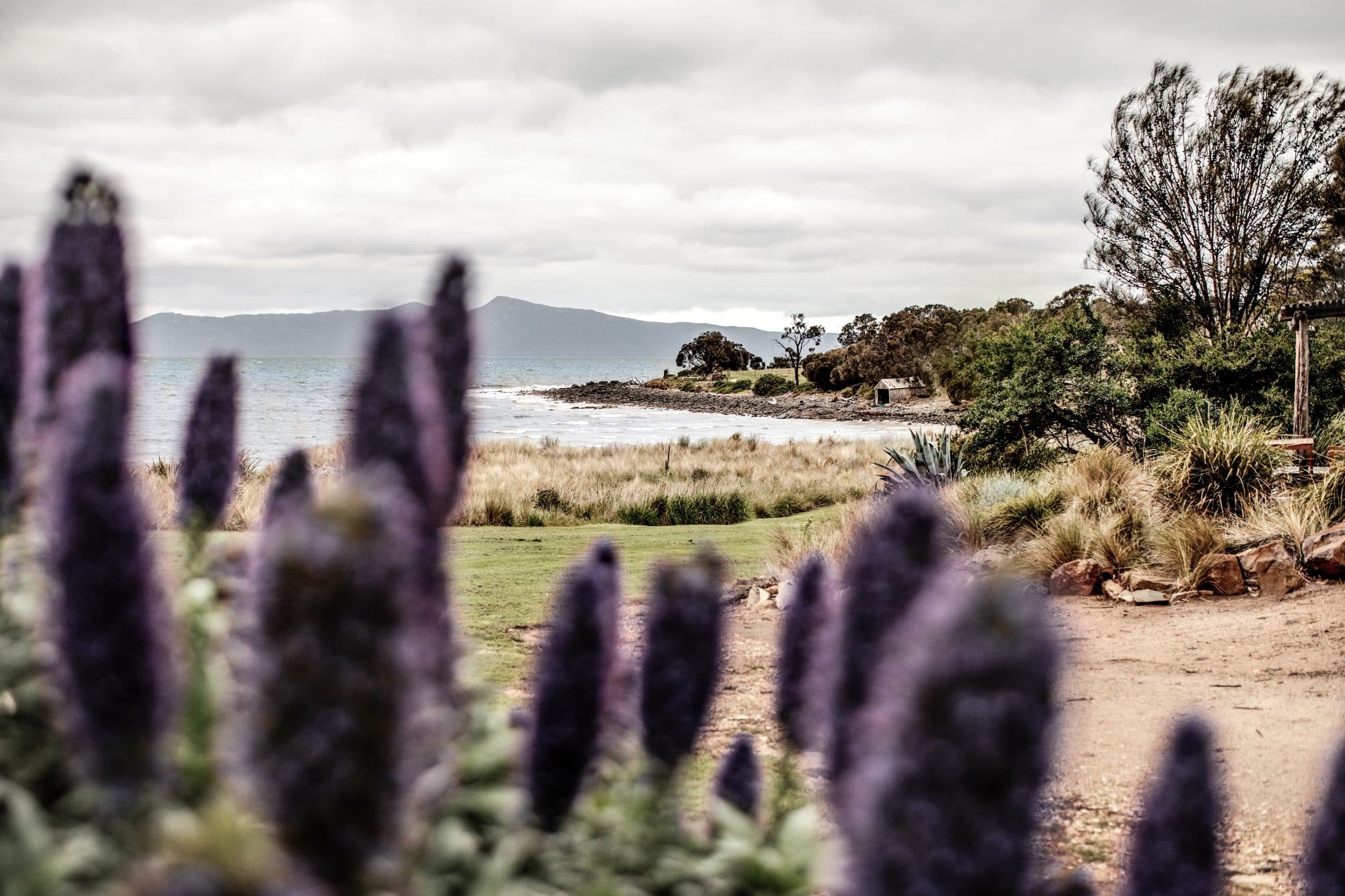 Destination Wedding - Piermont